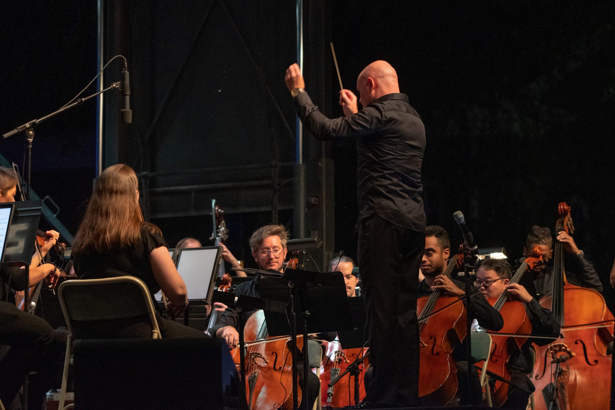 Move to Jackson TN! – Discover Life In Jackson!